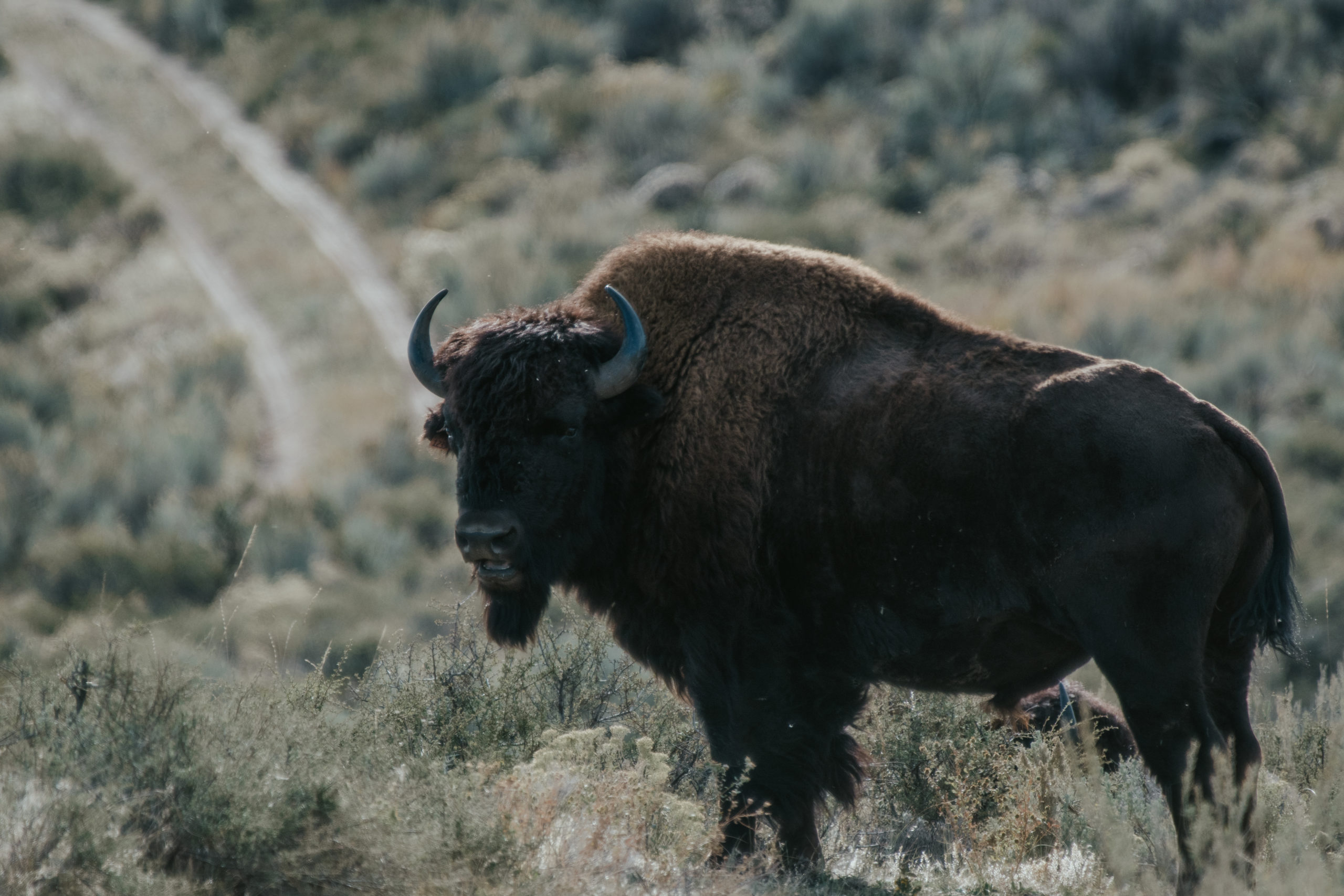 Contact – Juniper Mountain Ranch